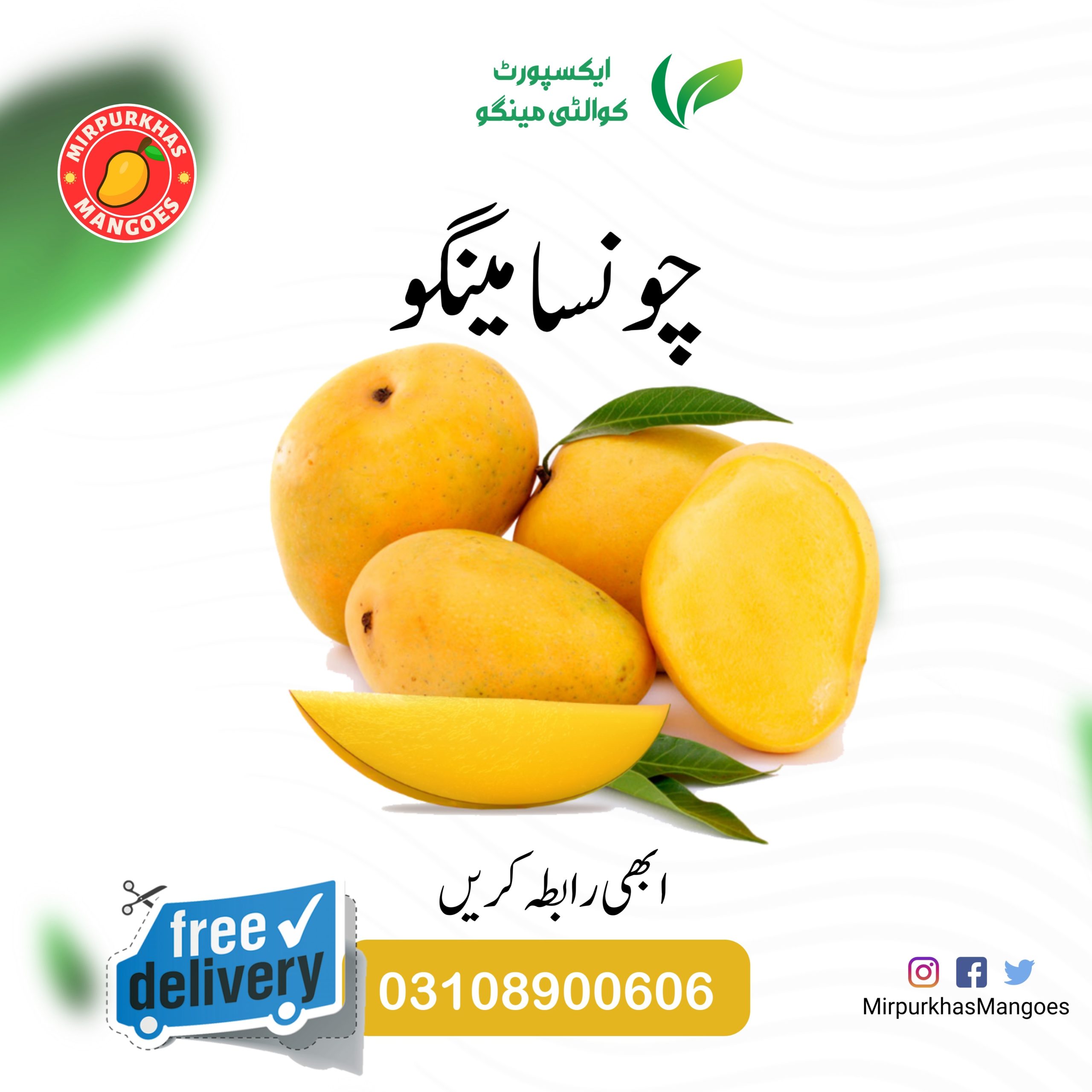 Chaunsa Mango چونسا - Mirpurkhas Mangoes