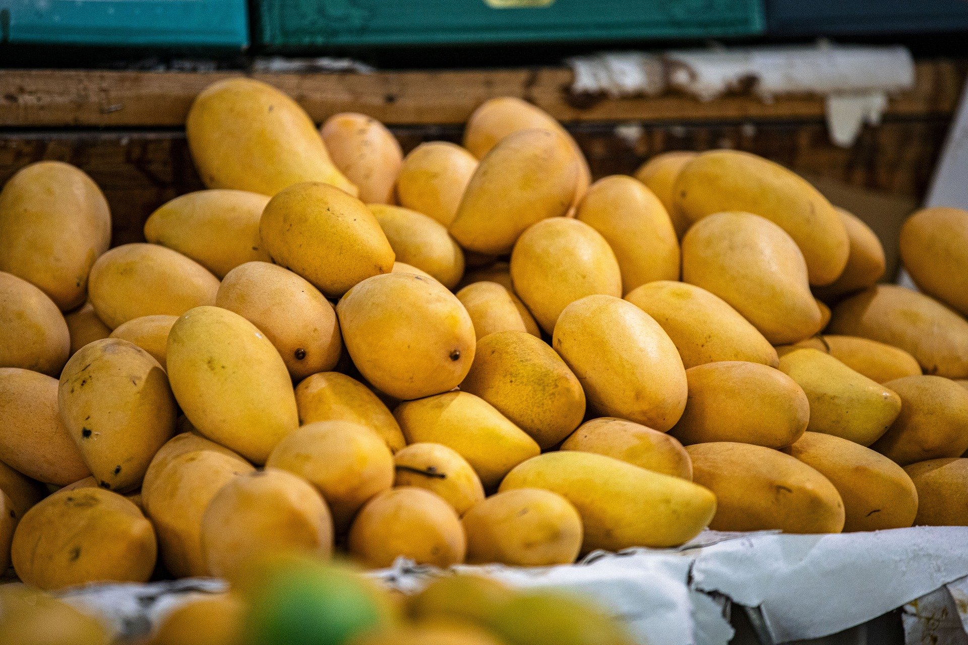 Mirpurkhas Mangoes - Mirpurkhas Mangoes